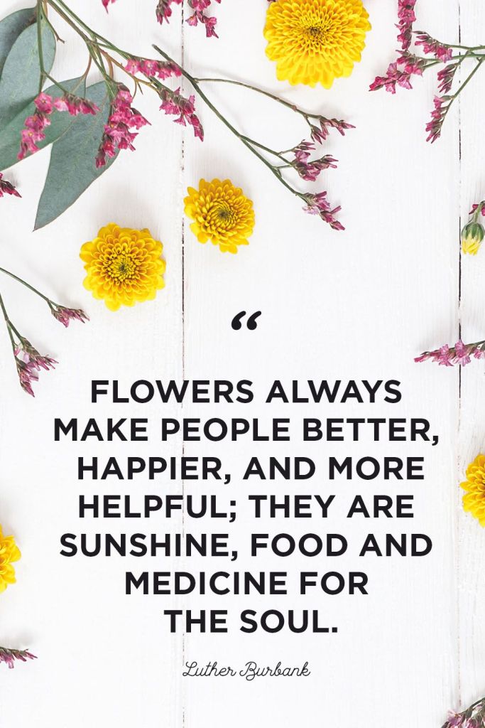 the meaning behind flowers – Girl Who Would be KING on Life, Style and ...